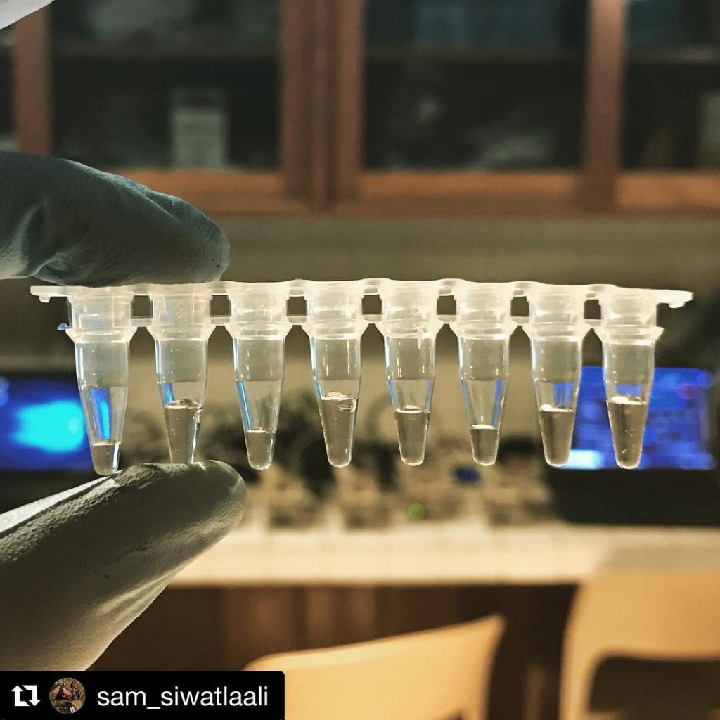 Conservation Genomics - Field Projects International