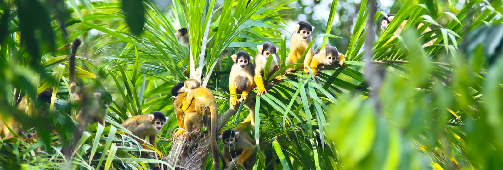 Our Team - Field Projects International