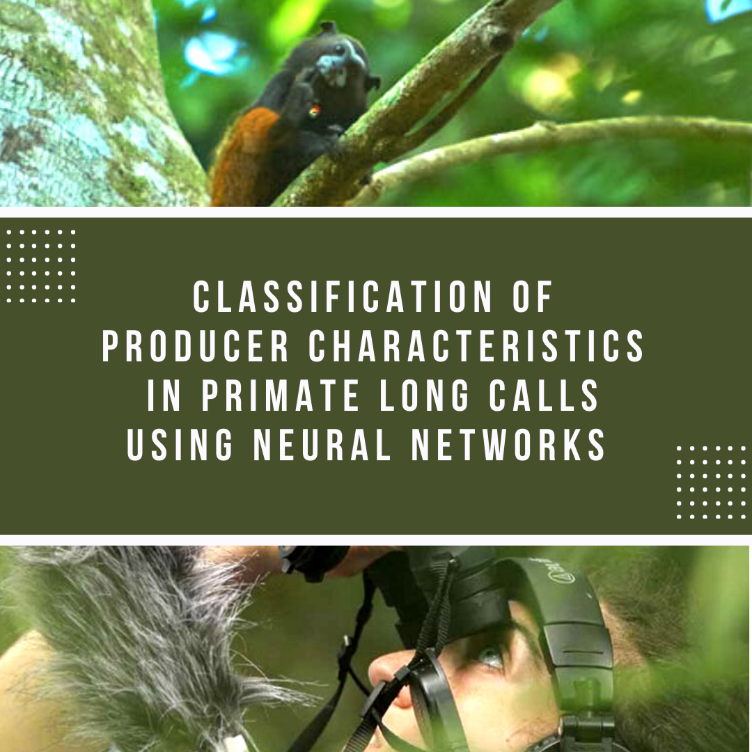 Primate Ecology - Field Projects International