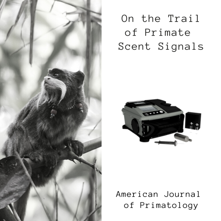 Primate Ecology - Field Projects International