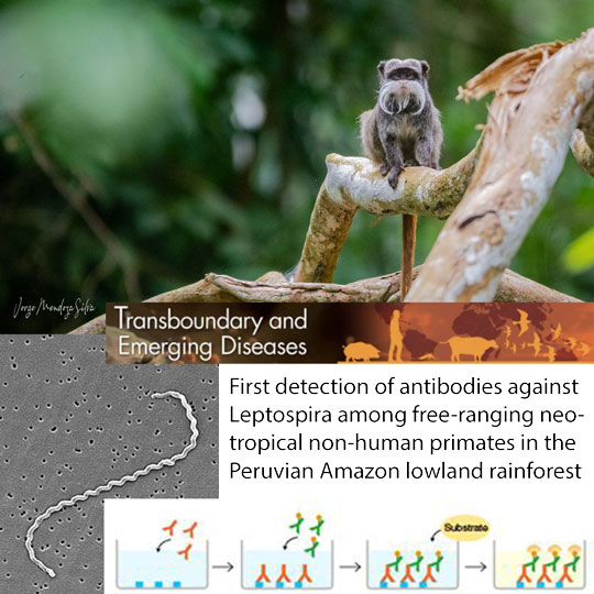 Biosurveillance - Field Projects International