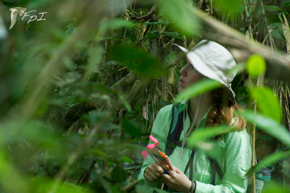 Peru Travel Preparation FAQ - Field Projects International