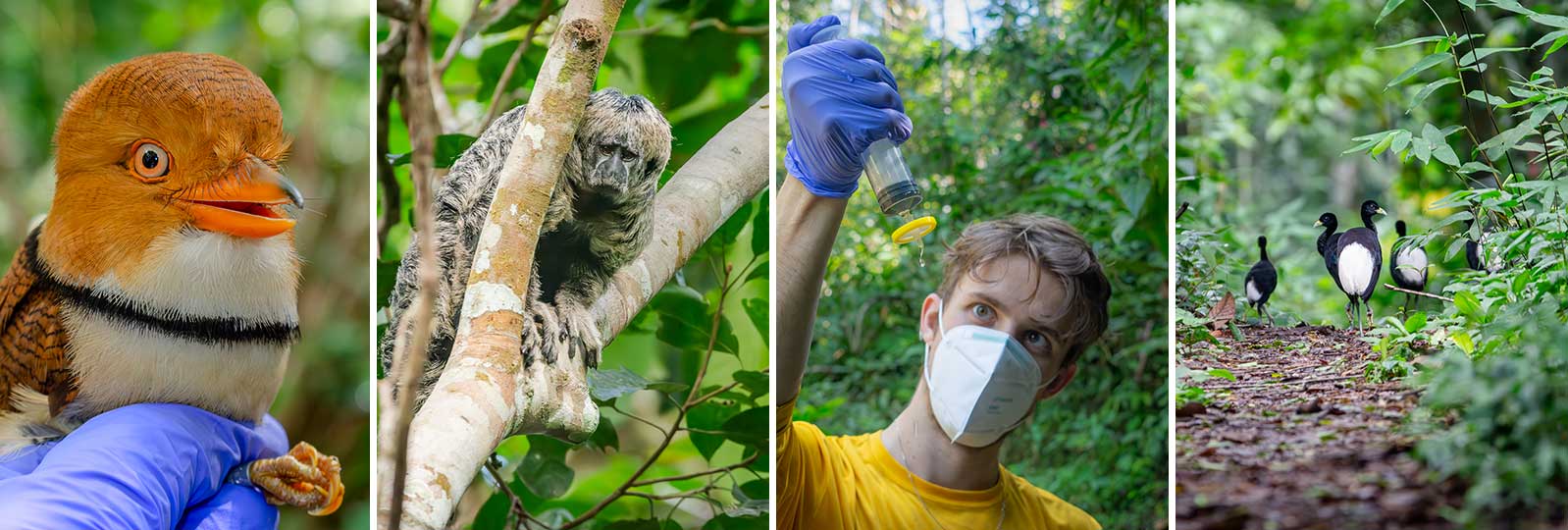 Biodiversity Monitoring - Field Projects International